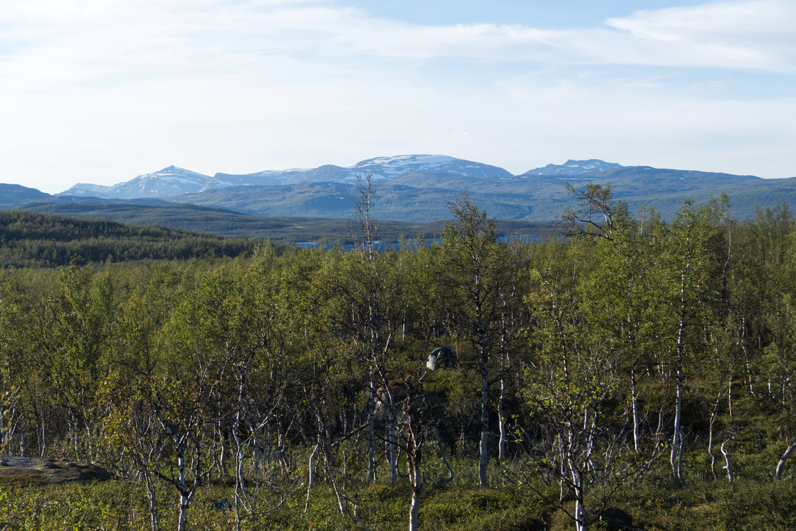 Fjelds of Sweden :: Ritsem Circuit 2022 – Come what may – Day 1