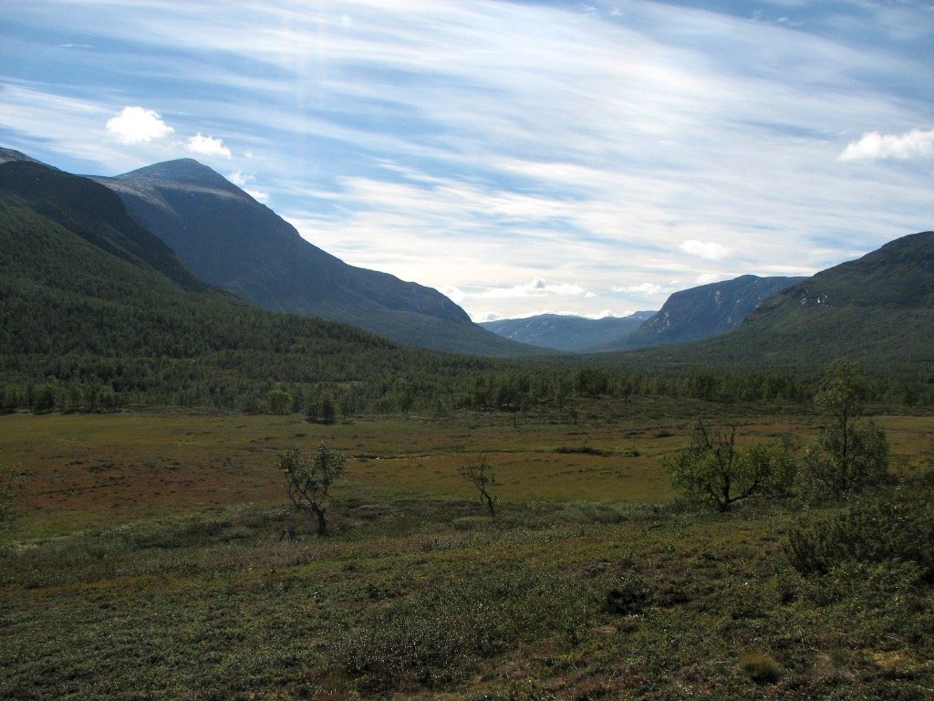 Fjelds of Sweden :: Såmmarlappa 2007: Day Tours – Up and about – 30/8